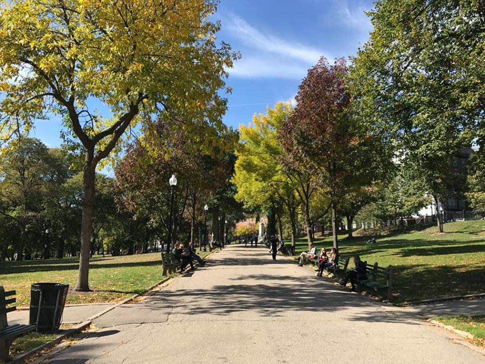 เหตุผลของพี่ดาในการเลือกปรับภาษาอีกครั้งที่ NESE- The New England ...