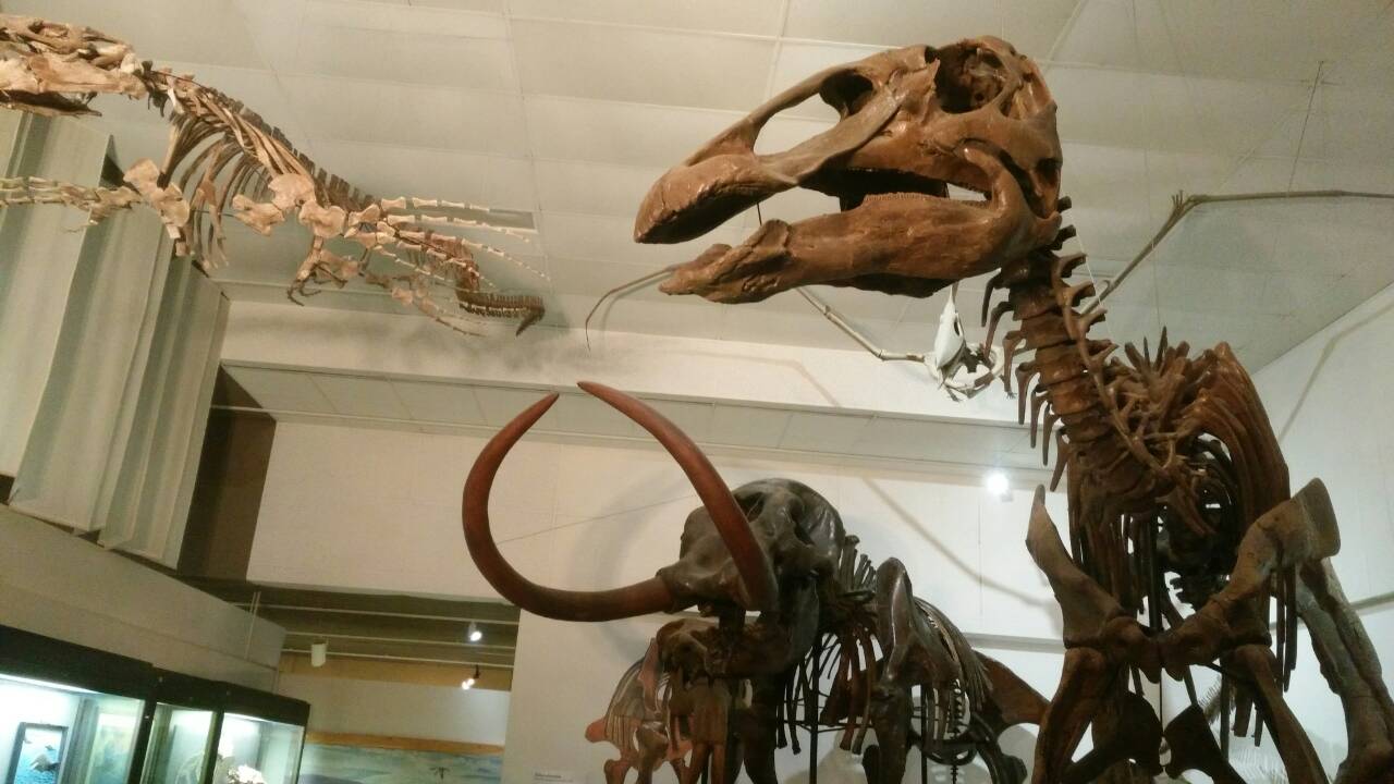 The Geology Museum in University of Wisconsin & The comtemporary art ...